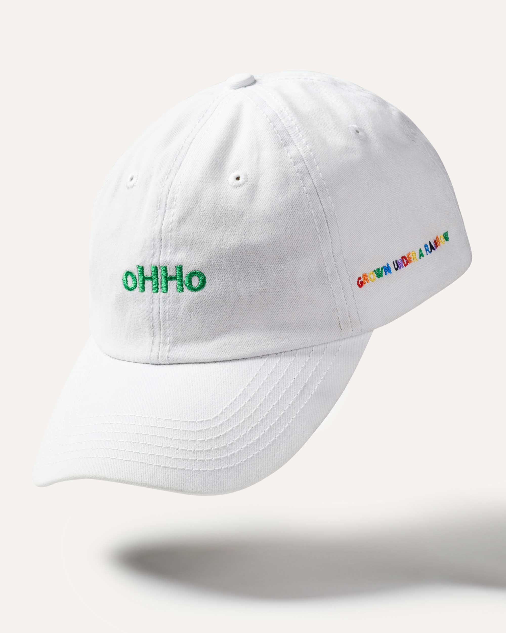 Full Spectrum CBD Recovery Balm – Shop oHHo